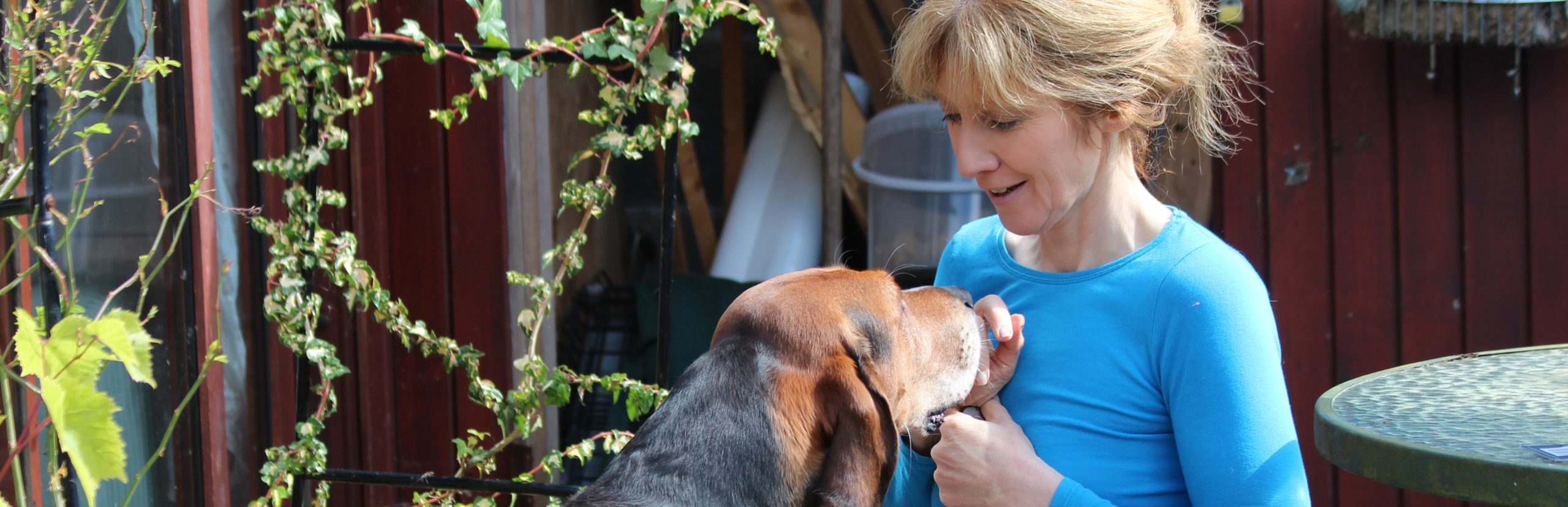 Talk To Your Dog • Hounds Connect